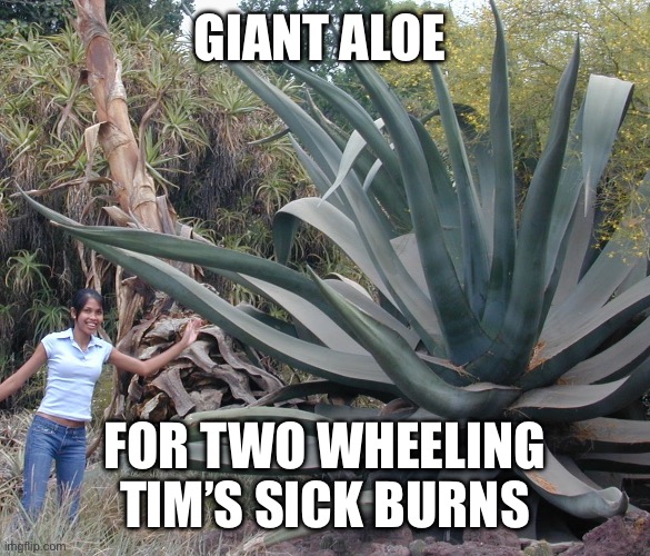 Giant Aloe for Sick Burns - Imgflip