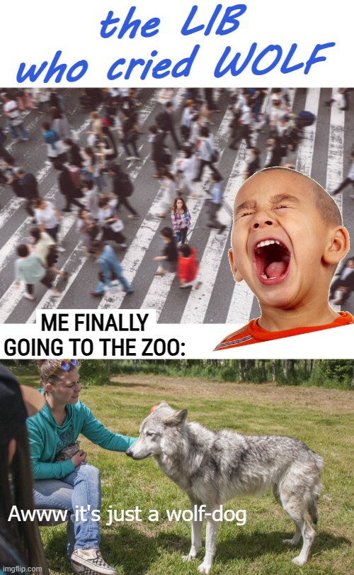 When I got off the habit of hearing stories and takes from the Lib ...