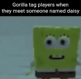 The whole daisy09 thing is stupid - Imgflip