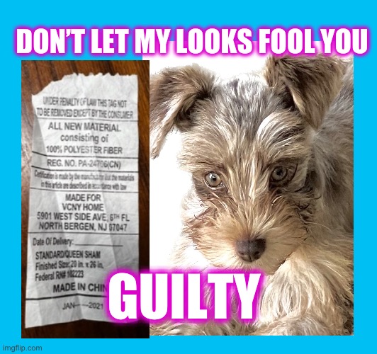 Guilty Ruby - Imgflip