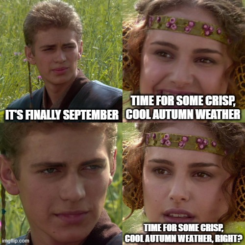 Anakin Padme 4 Panel - Imgflip