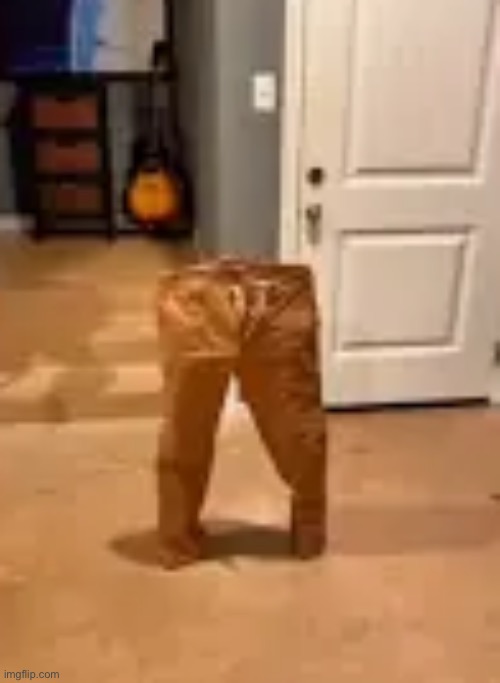 a little scoundrel - Imgflip