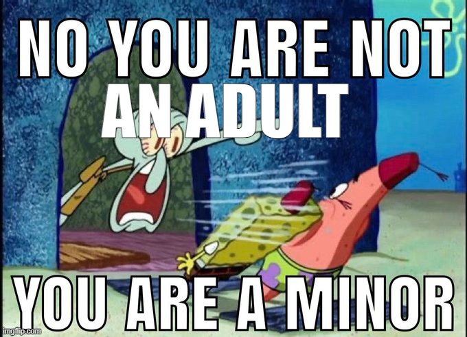 Image tagged in you are a minor - Imgflip
