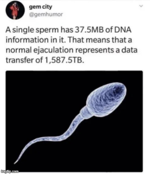 Mildésmallington sperm fact - Imgflip