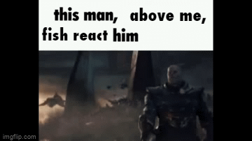 This man him (GIF) - Imgflip