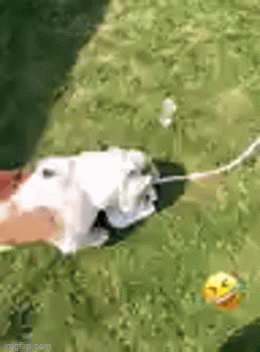 The timing is bad - Imgflip