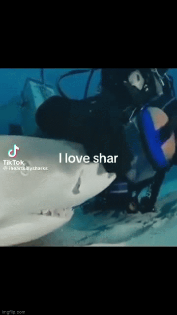 I love shar - Imgflip