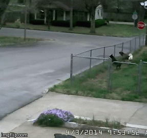 Delivery gone WRONG! - Imgflip