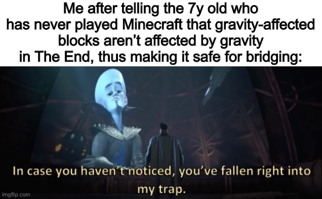 Oh? The blocks were affected by gravity, and you fell into the void ...