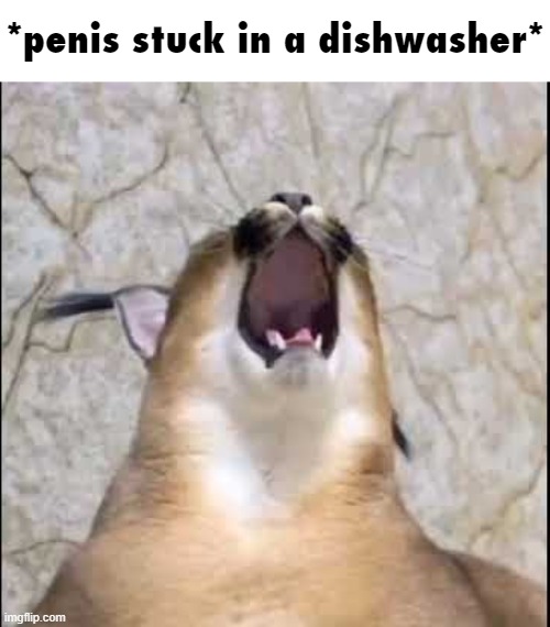 Floppa screaming - Imgflip