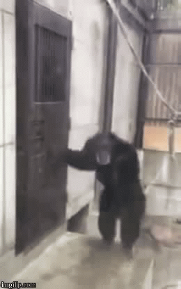 Caption this - Imgflip