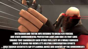 *creative title here* - Imgflip