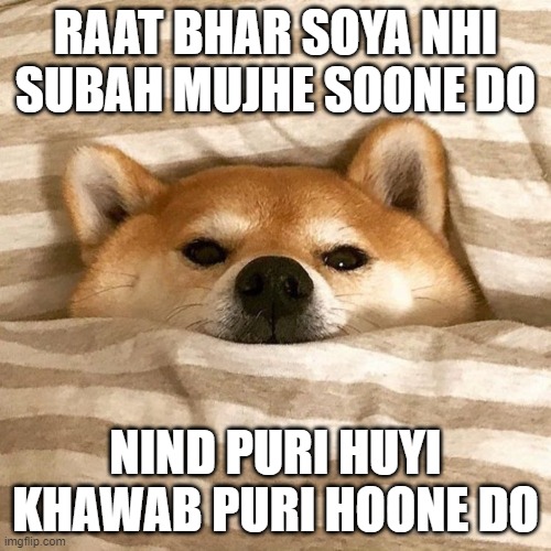 Cheems Shayari - Imgflip