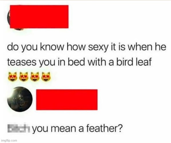 Image tagged in bird,leaf,feather - Imgflip