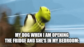 It ALWAYS happens - Imgflip