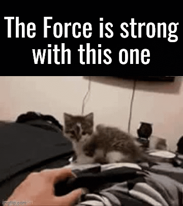 Use the force - Imgflip