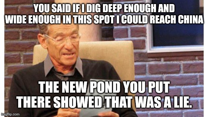 maury povich - Imgflip