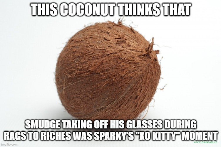 coconut - Imgflip