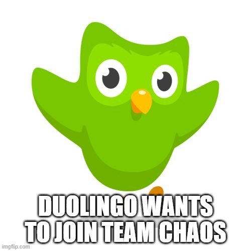 things duolingo teaches you - Imgflip