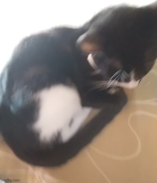 blehhh i don't wanna go to the hos pital - Imgflip