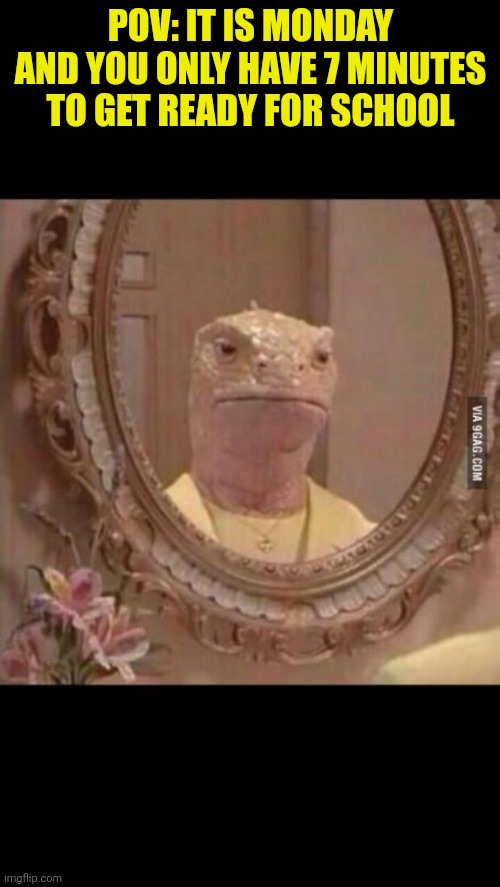 Lizard Mirror Memes Cats Vs. Mirrors 😻 😆 Funny Cats Reaction To