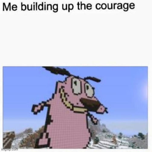 Stupid Dog You Make Me Look Bad Gif