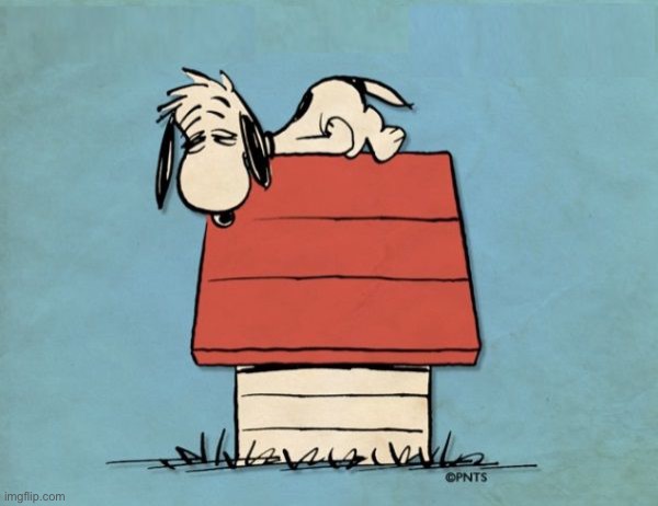 Snoopy bushed - Imgflip