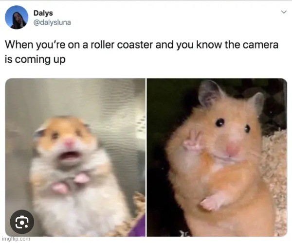 Image tagged in oh wow are you actually reading these tags - Imgflip