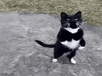 He's Only Dancing ! - Imgflip