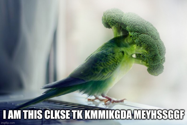 Feikuucmjdlk - Imgflip