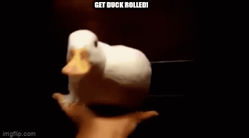 duck roll - Imgflip