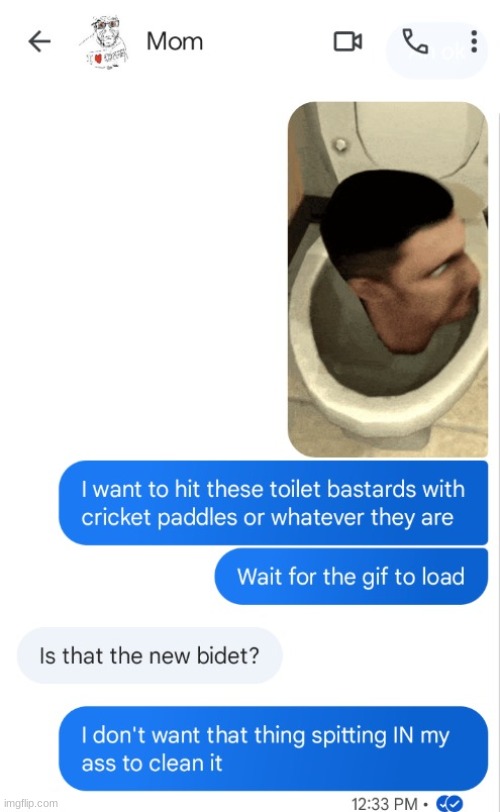 blissfully unaware of the skib - Imgflip