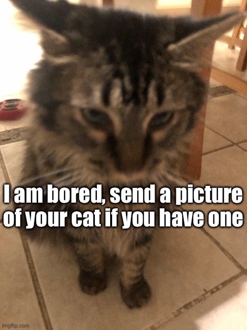 this goober’s name is yamcha - Imgflip