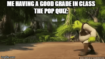 Pop Quiz Gif Gif Quiz GIFs | Tenor