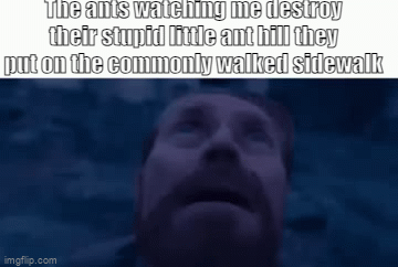 Silly ants - Imgflip