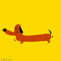 Animated GIF - Imgflip