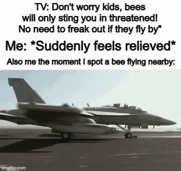 *Absolutely FREAKS OUT* - Imgflip