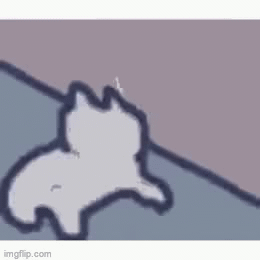 head banging cat - Imgflip