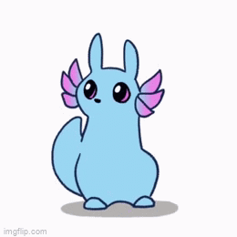 Animated GIF - Imgflip