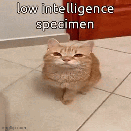 Low intelligence specimen - Imgflip