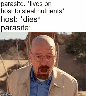 *dying worm noises* - Imgflip