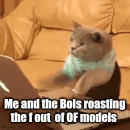 Cat typing - Imgflip