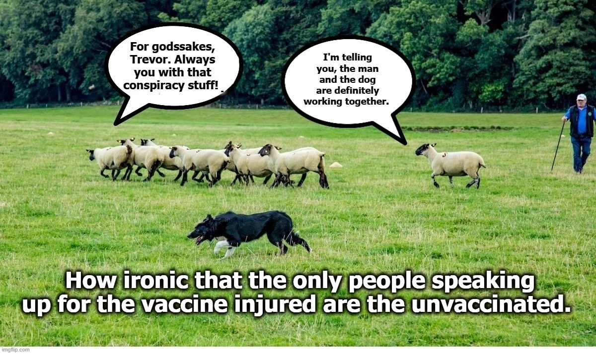 Sheeple Conspiracy - Imgflip