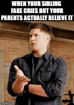 siblings - Imgflip