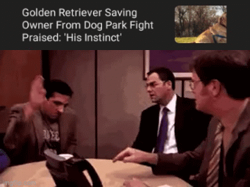 Saved owner from fight - Imgflip