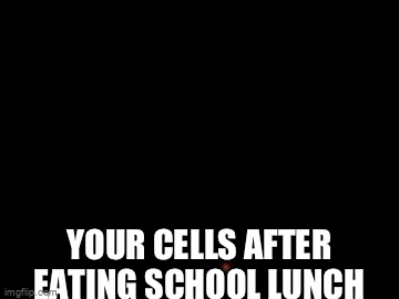 EVERY SCHOOL!!? - Imgflip