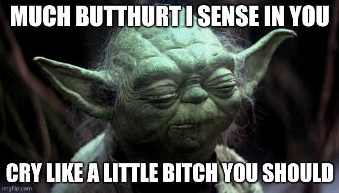 MUCH BUTTHURT I SENSE IN YOU CRY LIKE A LITTLE BIT CRY YOU SHOUL - Imgflip
