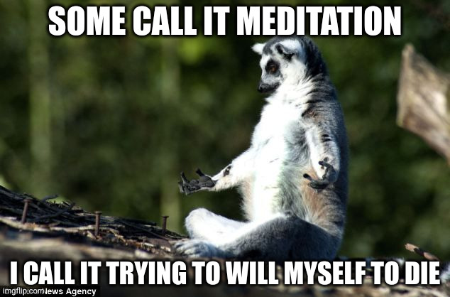 Meditating lemur - Imgflip