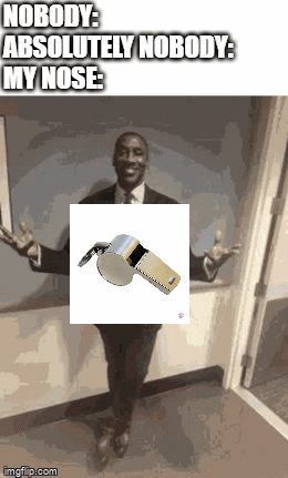 my nose belike: - Imgflip