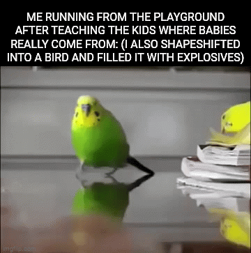 bird running from explosion - Imgflip